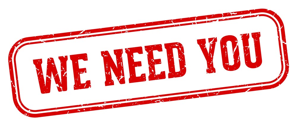 Stray to Safety a not for Profit organisation dedicated to the safety ...